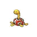 Shuckle Pokemon Go - Pokemon List - All Pokemon Pokedex